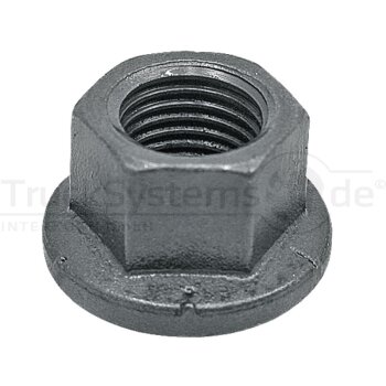 AUGER Tür Glas 93448 - für SCANIA 1306259