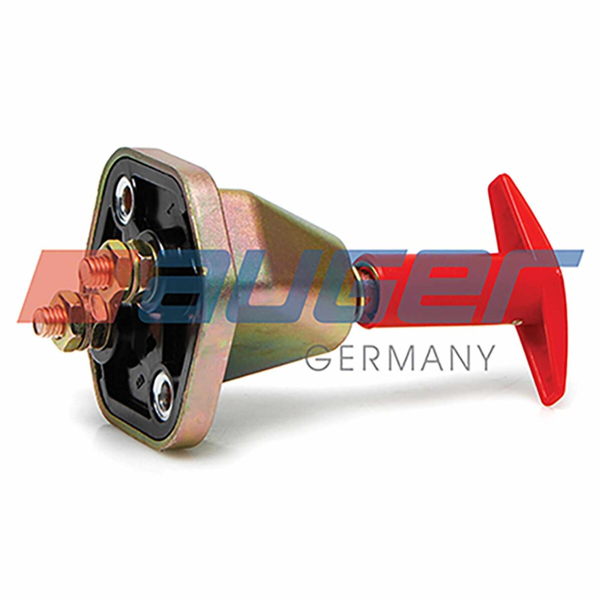 AUGER Haupt Schlüssel, Batterie 79186, 14,49