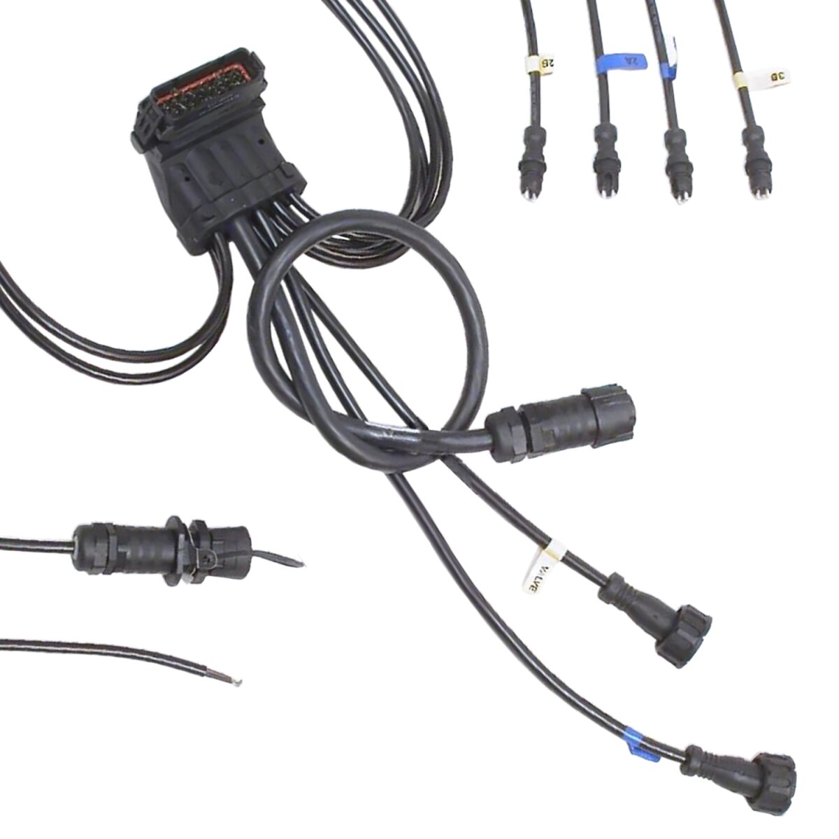 Haldex Modular Kabelbaum (mit Colas-Kabel), 4S/2M, 6m, blau - 3643400 ...