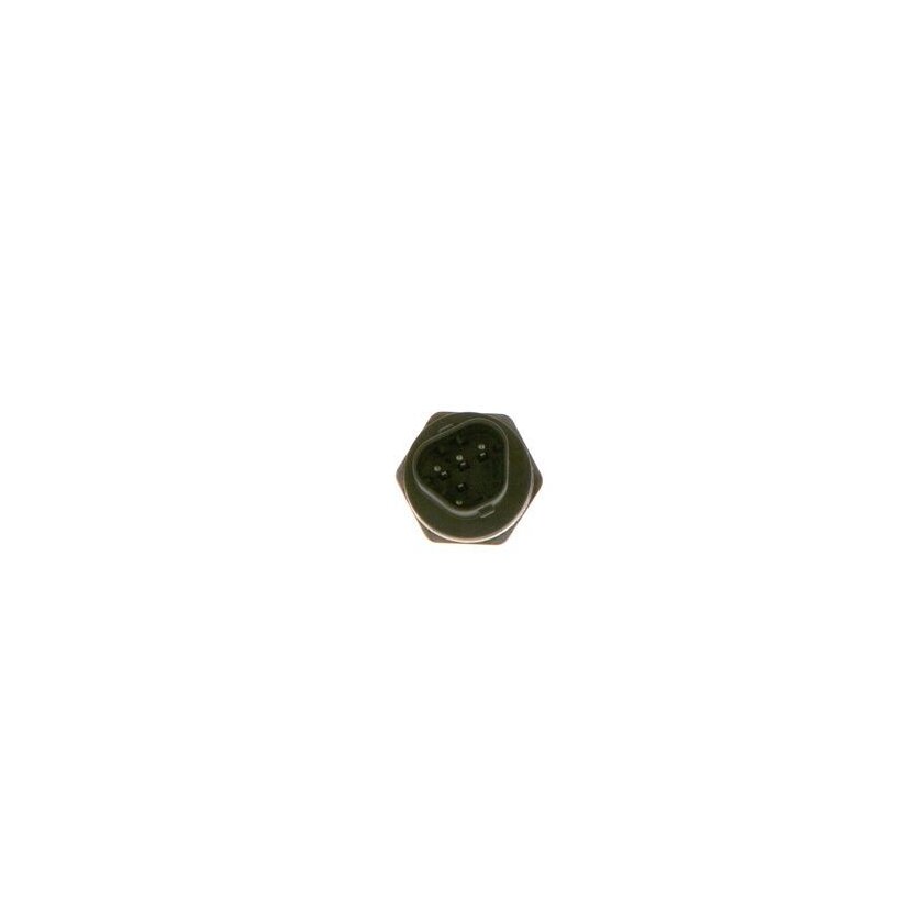 BOSCH Sensor, Ansauglufttemperatur 0 281 006 414 - 0281006414 für FC3 ...