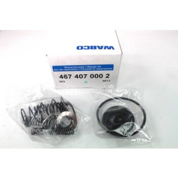 Covind Türgriffsatz mit Schlüssel MAN TGA M-L-LX 81626416081 81.62641 ...