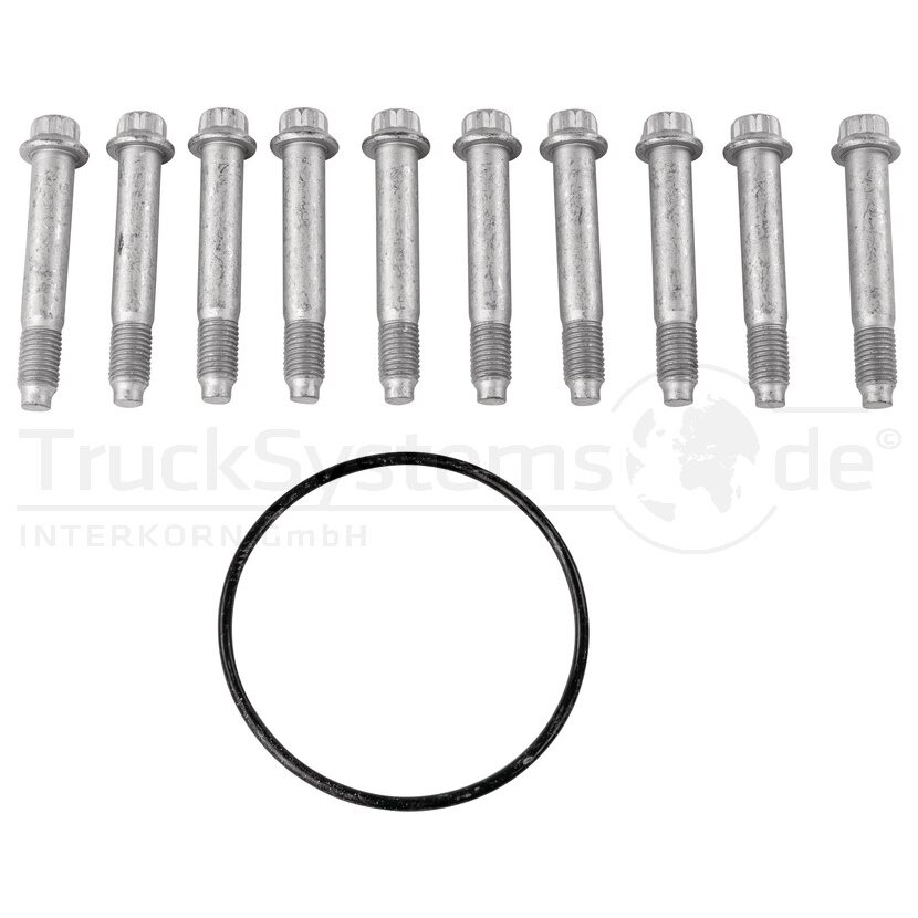 SAF Reparatursatz Integralscheibe - 3 434 3662 01 - 3434366201, 38,84